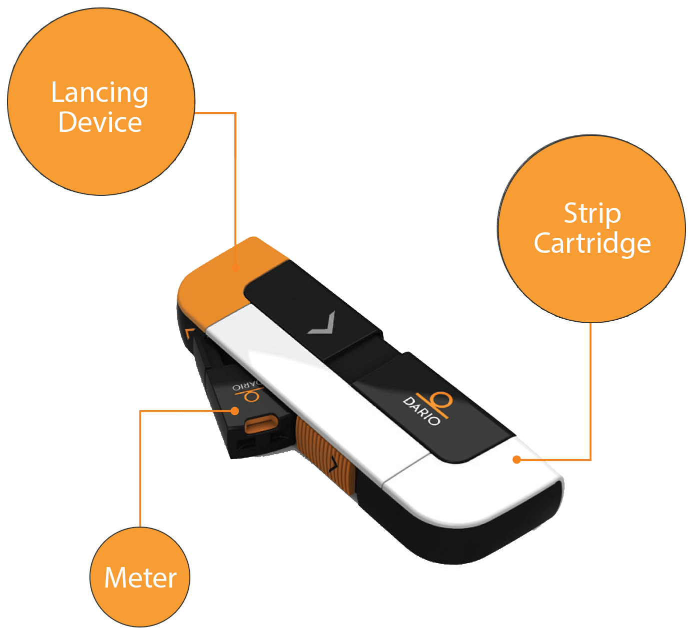 New-diagram-ENG - myDario.com